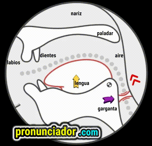 Dark ‘L’ Mechanics: The back-of-the-tongue lift, the Light vs. Dark L ...