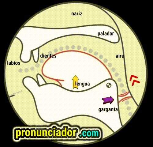Master the J /dʒ/ Sound [Easy Pronunciation Guide]