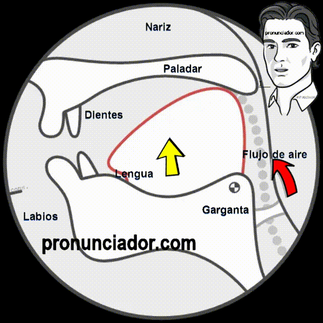 Domina el Sonido /k/ en Inglés [Guía de Pronunciación]
