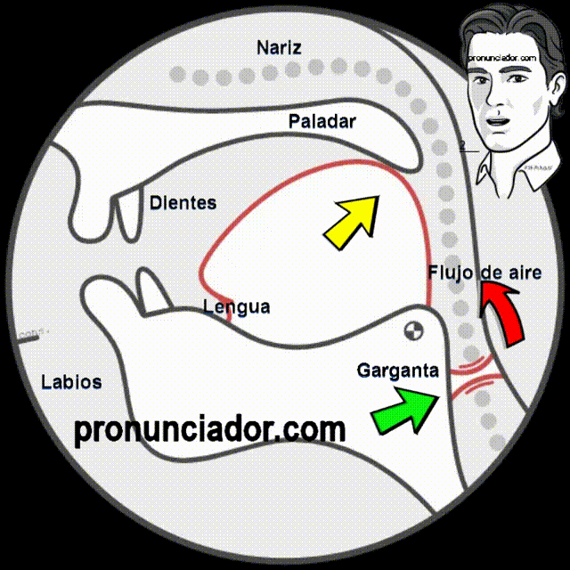 Fix the AH /ɑ/ Sound (got vs gut): A Pronunciation Guide