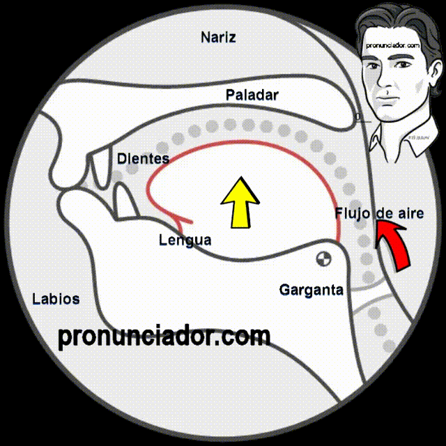 ¿Por qué pronuncias en ingles "Pie" como "Bye"? (El truco visual del ...