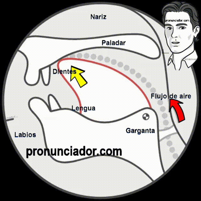 Pronunciar la T en Inglés: Domina el Secreto del "Aire"
